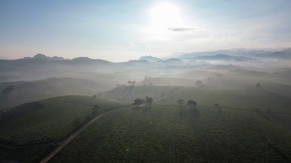 5 must-visit spots in Moc Chau this winter - Asia Life Journey